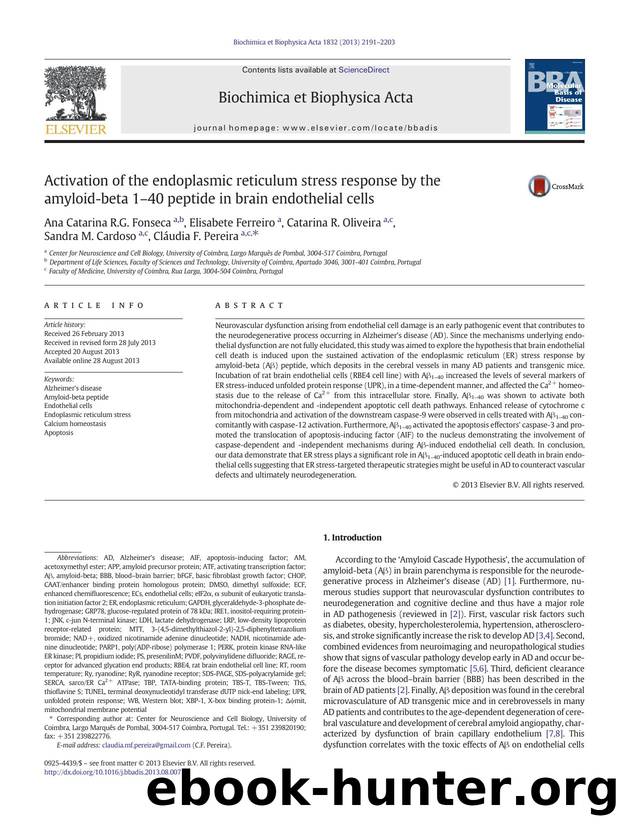 The Endoplasmic Reticulum Epilepsy Cell Stress